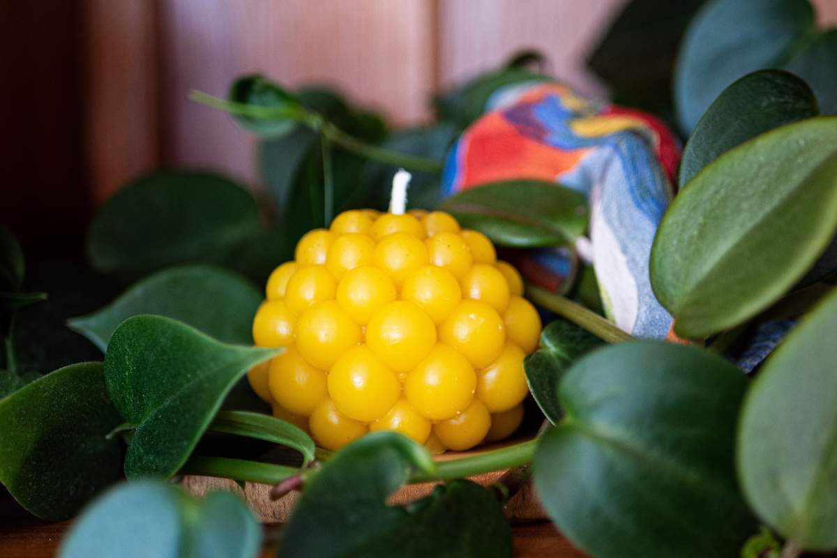 Round Bubble Beeswax Candle – 5 cm high – Honey by Wrights